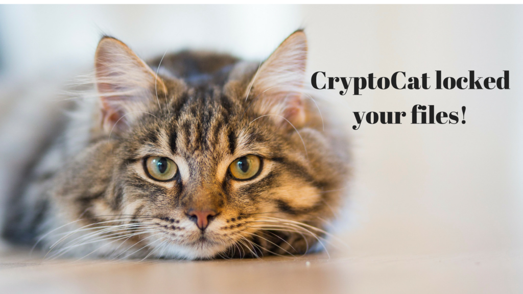 New CryptoCat Ransomware Virus Attacks Computers - Best Security Search
